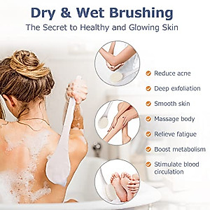 VANZAVANZU Shower Brush, Bath Body Brush with Soft Bristles, Back Brush Long Handle for Shower, Dry Exfoliating Brush or Wet Shower Brush with Moderate Bristles, Cream White