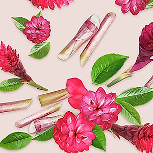 Love Beauty And Planet Silicone Free Conditioner Detox and Nourishment Black Tea Kombucha & Red Ginger Hair Care for Soft & Shiny Hair, Floral, 32 Fl Oz