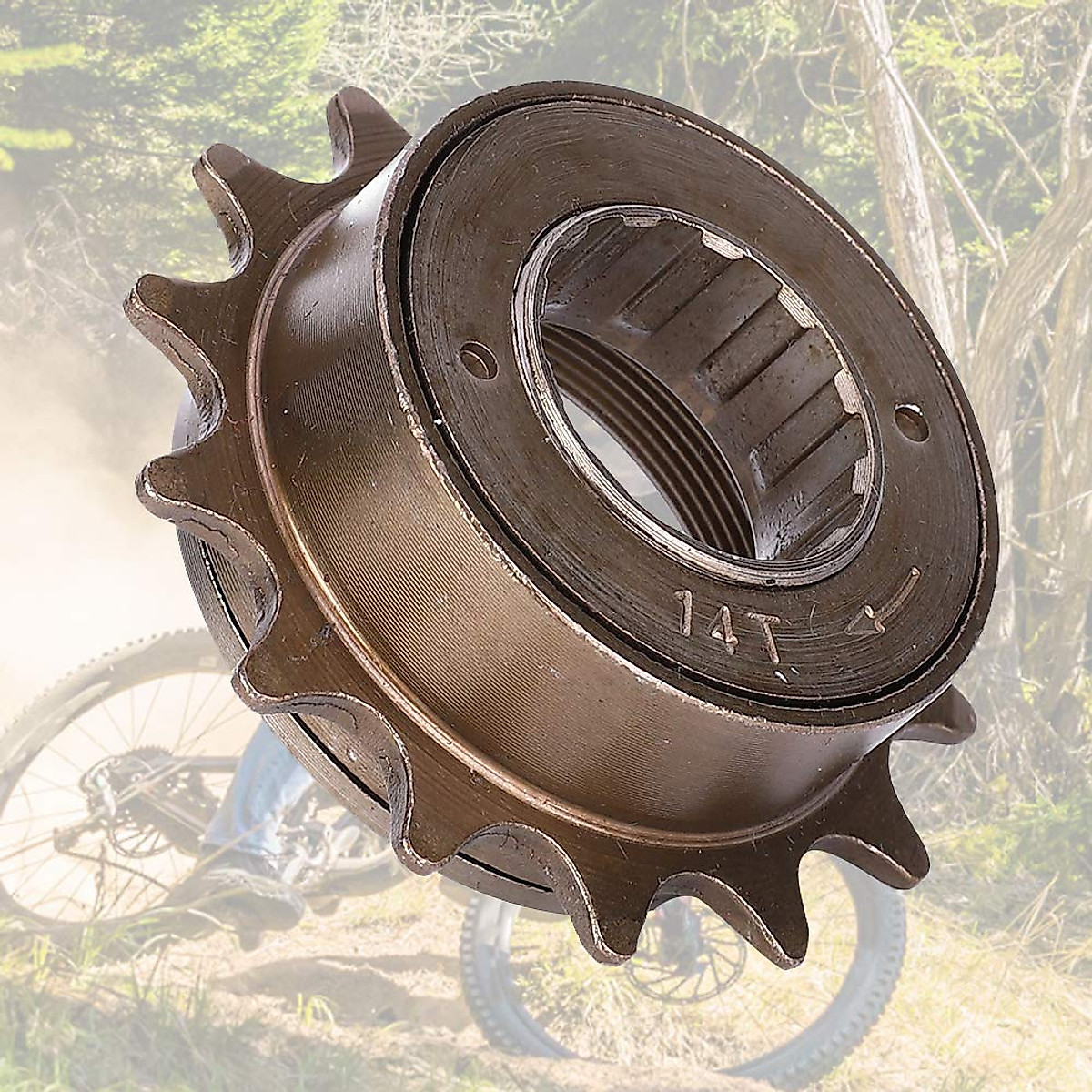 14T Single Speed Freewheel Flywheel Accessory Compatible with Mountain Road Folding