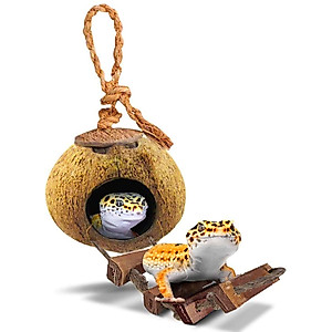 SunGrow Leopard Gecko Coconut Husk Hut with Ladder, with Shell Opening, Cave Habitat with Hanging Loop, 1 Pc per Pack
