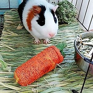 kathson 6 PCS Rabbit Large Grass Mat Natural Grass Woven Mat Rabbits Chew Toys Grass Bedding Nest for Small Animal Bunny Rabbit Guinea Pigs Hamster Chinchillas Puppy Biddy Sleeping Chewing