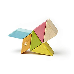 6 Piece Tegu Pocket Pouch Prism Magnetic Wooden Block Set, Tints