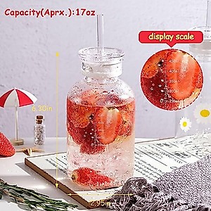 WHJY 16oz Cute Water Bottle, Matte Glass Water bottle with Straw, Milk Juice Glass Water Bottle with Scale, with 2 Lids, Little Daisy Sunflower Matte Portable Water Cup - Clear Sunflower