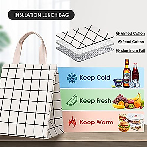 HOMESPON Reusable Lunch Bag Insulated Lunch Box Canvas Fabric with Aluminum Foil, Lunch Tote Handbag for Women,Men,Office (White Plaid)
