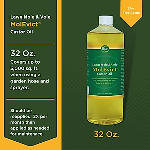 Baar Products - MolEvict Lawn Mole Castor Oil - Mole & Vole Repellent - Lawn & Garden Protection - Up to 5,000 Sq. Ft. of Coverage - Safe for Use Around House & Plants - 32 Ounces
