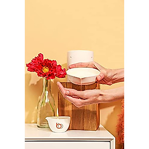 Burn & Bliss - Revitalizing Peppermint & Eucalyptus Scented Soy Wax Melts - Sensual & Romantic Kama Sutra Aromatherapy Wax Melts for Intimacy or Relaxing