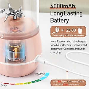 Portable Blender Personal Blender for Shakes and Smoothies, Mini USB Blender with 6 Blades, 17Oz Blender to Go for Travel, Office, and Sports