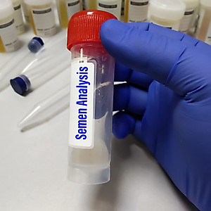 1200 PCS Clear Label Protector Self-adhesive Waterproof Label Stickers Rectangle Label Protector Shields Transparent Envelope Seal Stickers 3.1 x 1.2 Inches