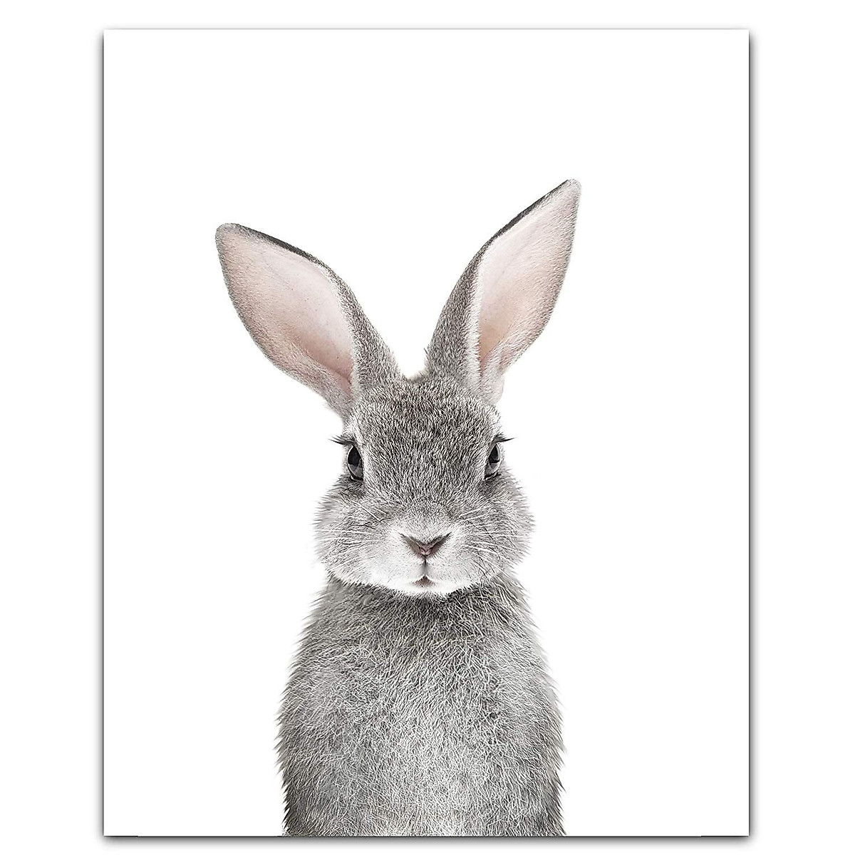 Designs by Maria Inc. Baby Nursery Wall Decor Art - Set of 2 (UNFRAMED) Wall Artwork 8x10 Baby Bunny Front and Back Photographic Print