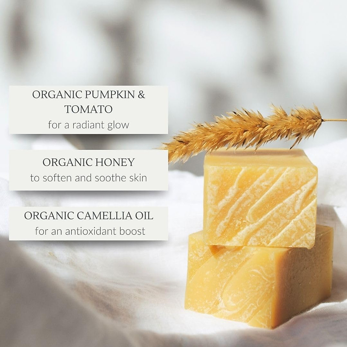 Osmia - Natural Pumpkin Facial Soap Bar | Clean Beauty For Healthy Skin (2.25 oz | 64 g)