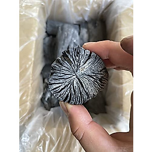 TOSA Binchotan Charcoal Rose 4.4 lbs (2 kg) + Oga Charcoal, Made in Japan, Binchotan, Barbecue, White Charcoal, High Heat Power, Less Ash, Resistant to Fire (Water)