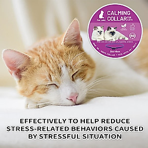 Pets4Luv Calming Collar for Cats - Pheromone Calm Collars, Anxiety Relief Fits Small Medium and Large Cat - 2022 New Version - Adjustable and Waterproof with 100% Natural 3Packs