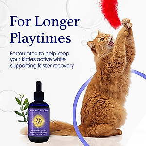 ESS60 Olive Oil for Cats - Organic Extra Virgin Olive Oil, Pure C60 ESS60 (.8 mg/mL) & Natural Salmon Essence to Support Your Cats’ Flexibility, Energy, Immunity, Longevity - 3 oz