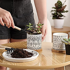 JOFAMY Succulent Pots, 4 Pack Ceramic Planters for Indoor Plants, Boho Original Design Flower Pots with Drainage Hole, Bamboo Tray. Stylish Plant Pots for Succulents, Aloe, Cactus, Home Office Decor