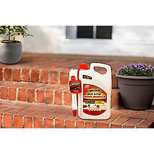 Spectracide Bug Stop Home Barrier, Kills Ants, Roaches and Spiders On Contact, Indoor and Outdoor Insect Control, 1.33 Gallon (RTU Accushot Spray), Plain