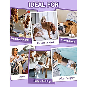 MICOOYO Disposable Dog Diapers Female, Doggie Diapers for Dogs Female, Super Absorbent Pet Diapers Foam Tail Hole Female Dog Diapers for Heat, Comfortable Puppy Diapers (Small Plus, 50Count)