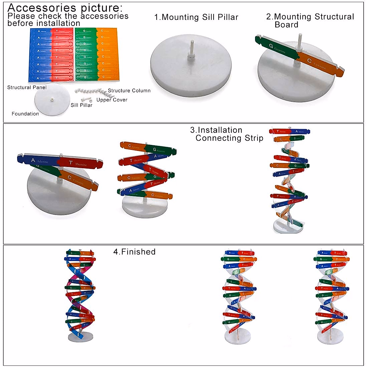 HMANE DNA Models Double Helix Model Components Science Educational Teaching Instrument Toy