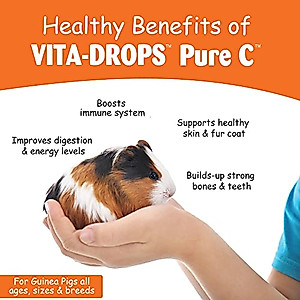 OASIS #80254 Vita Drops-Pure C for Guinea Pig, 2-Ounce, Packaging may vary