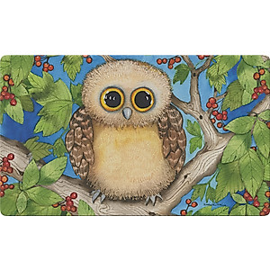 Toland Home Garden 800034 Hoot Hoot Fall Door Mat 18x30 Inch Owl Outdoor Doormat for Entryway Indoor Entrance