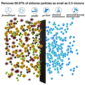 HAPF600 Filter Compatible with Holmes HAPF600D HAP615 HAP625 HAP650 HAP675RC HAP725 HAP750 HAP1625 HAP1650 HAP1725 HAP1750 HAPF600 B 106773 HEPA Replacement Filter- 2 Packs