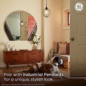 GE Vintage Style LED Light Bulb, 40 Watt, Amber Finish, T9 Tube Light (1 Pack)