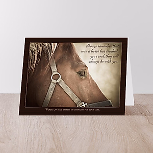 CafePress Horse Sympathy (Pk Of 20) Greeting Cards Greeting Card (20-pack), Note Card with Blank Inside, Birthday Card Matte