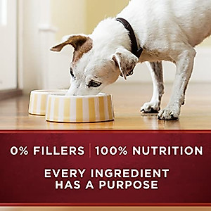 Purina ONE Wet Dog Food True Instinct Classic Ground Grain-Free Formula With Real Beef and Wild Caught Salmon High Protein Wet Dog Food - (Pack of 12) 13 oz. Cans