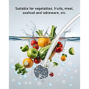 Portable Ozone Machine Generation for water and Air Blue