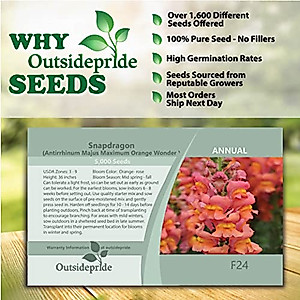 Outsidepride Antirrhinum Majus Snapdragon Orange Wonder Garden Cut Flower - 5000 Seeds
