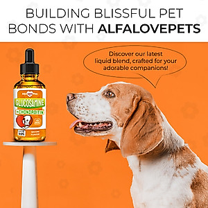Glucosamine for Dogs ✿ Dog Joint Supplement ✿ Hip and Joint Supplement Dogs ✿ Glucosamine Chondroitin for Dogs ✿ Liquid Glucosamine for Dogs ✿ Glucosamine Chondroitin Dogs ✿ Bacon Flavor ✿ 2 Oz