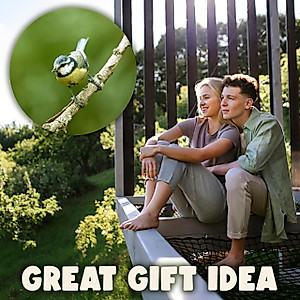 SWISSINNO Bird Feeder Davos Smart Birds | No Mess No Spill Bird Feeder for Outdoor | Mice & Rat Proof | Robust & Reliable for Hanging | Dual Food Chambers | Made in EU | Light Blue