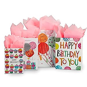 SHIPKEY 4 Pack Birthday Gift Bags Assortment with Pink Tissue Paper | Colorful Gift bags (3 Sizes) for Newborns/Kids/Men/Women