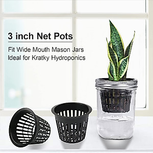 Business King 3 Inch Net Pots for Hydroponics 30 Packs with Plant Labels 30Pcs Heavy Duty Wide Mouth Net Cups Slotted Mesh Pot hydroponics Supplies