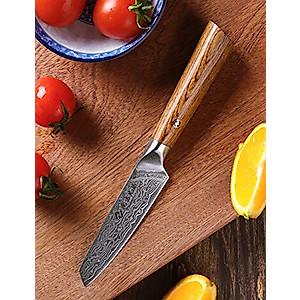 Paring Knife 3.8Inch Damascus Steel Knife Professional Super Steel VG10 Comfortable Ergonomic Wood Grain Handle Very Sharp Paring Knives for Kitchen–Gift Box
