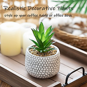 CADNLY Small Artificial Plants in Pots - Fake Plants for Bathroom Office Desk - Faux Succulents Succulents Decor 1 Pack