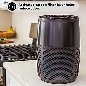 Instant HEPA Quiet Air Purifier, From the Makers of Instant Pot with Plasma Ion Technology for Rooms up to 630ft2, removes 99% of Dust, Smoke, Odors, Pollen & Pet Hair, for Bedrooms, Offices, Charcoal