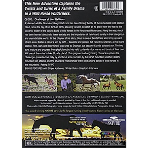 Nature: Cloud: Challenge of the Stallions