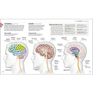 Science of Yoga: Understand the Anatomy and Physiology to Perfect Your Practice (DK Science of)