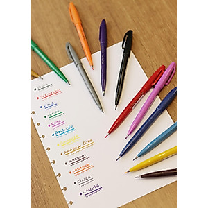 Pentel Brush Sign Pen Blue/Black