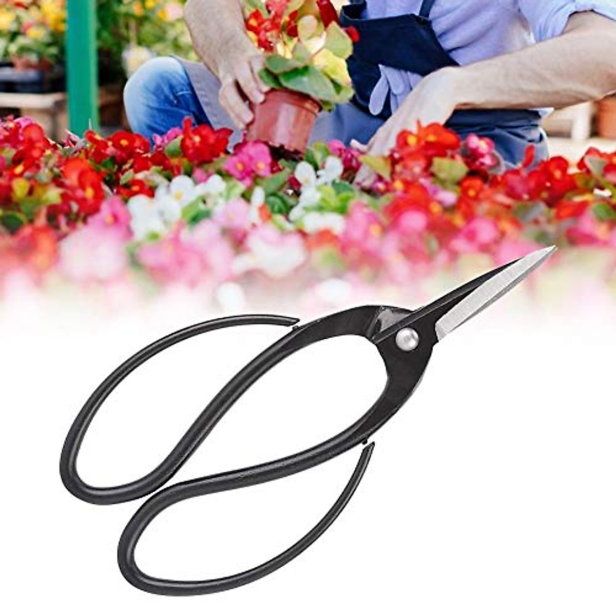 Ply Steel Garden Hand Tools, Landscape Modeling Garden Bonsai Tools, 195mm Bonsai Pruner, Professional Cutting Tools High Hardness Steel for Pruning Branches