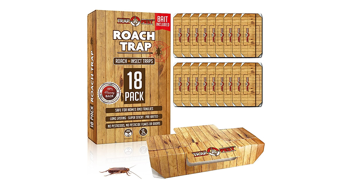 Indoor Sticky Roach Traps - Safe and Non-Toxic