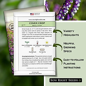 Sow Right Seeds - Hairy Vetch Seed for Planting - Cover Crops to Plant in Your Home Vegetable Garden - Enriches Soil - Suppresses Weeds - Winter Hardy - Non-GMO Heirloom Seeds - A Great Gardening Gift