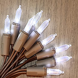 JinBest 150 LED Cool White Christmas Lights, Commercial Grade Decorator Lights Brown Wire 50 Ft, for Indoor and Outdoor Party, Garden, Patio.
