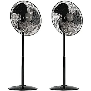 Westerly Oscillating Pedestal Fan, Adjustable Height, 3 Speeds, for Bedroom, Living Room, Home Office and College Dorm Room, 18", Black (2)