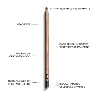 Sprout Pencils | Original Edition | Graphite Plantable Pencils with Flower, Herb & Vegetable Seeds | Certified & Organic Wood | Prime Sustainable Gift Ideal for Drawing, Sketching & Shading | 8 Pack