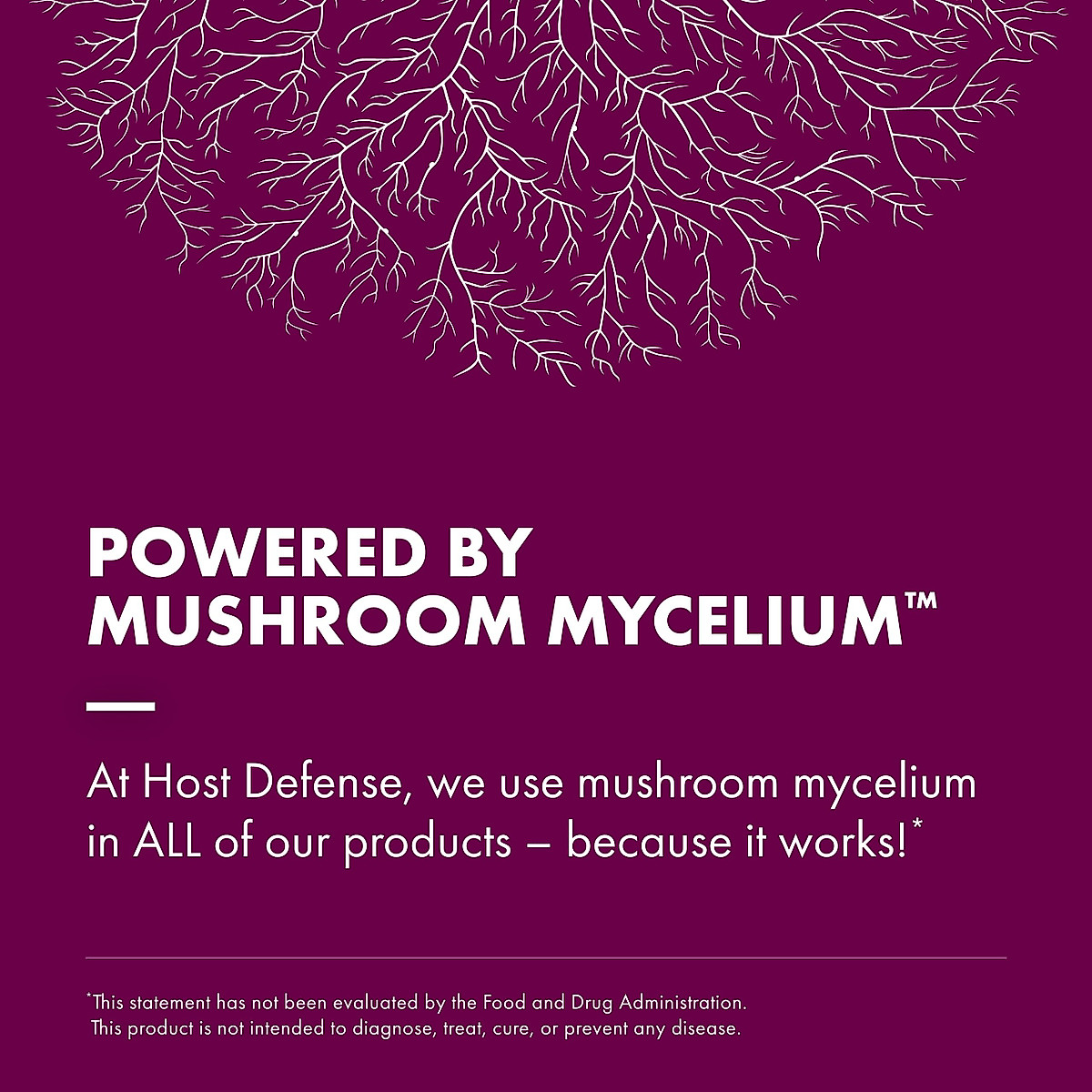 Host Defense Turkey Tail Capsules - Digestive Health & Immune Response Support Supplement - Mushroom Supplement for Gastrointestinal & Gut Microbiome Support - 120 Capsules (60 Servings)*