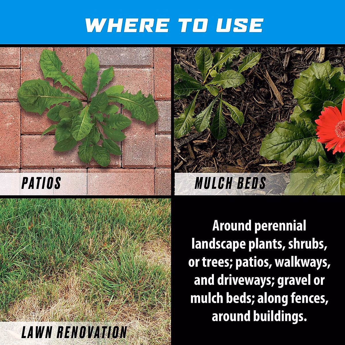 Ortho GroundClear Super Weed and Grass Killer1: Eliminates Tough Weeds and Grass, Ready-To-Use, Fast-Acting, 1 gal.