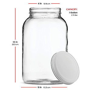 Paksh Novelty 1-Gallon Glass Jar Wide Mouth with Airtight Metal Lid - USDA Approved BPA-Free Dishwasher Safe Large Mason Jar for Fermenting, Kombucha, Kefir, Storing and Canning Uses, Clear (1 Jar)
