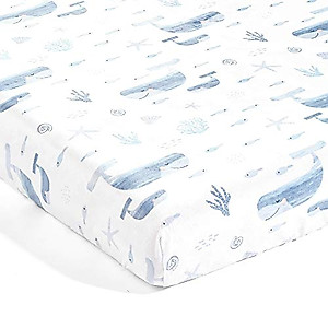 Lush Decor Baby Seaside Micro Mink 2 Pack Fitted Crib Sheet, Blue