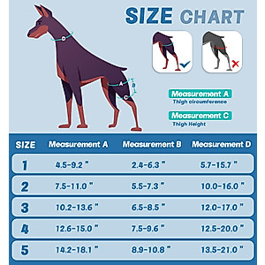 Petdream Dog Knee Brace with Vest, Support Dog Acl Brace for Hind Leg Torn, Adjustable Dog Rear Leg Braces for Cruciate Ligament Injury, Joint Pain Relief and Arthritis (Double, 2)